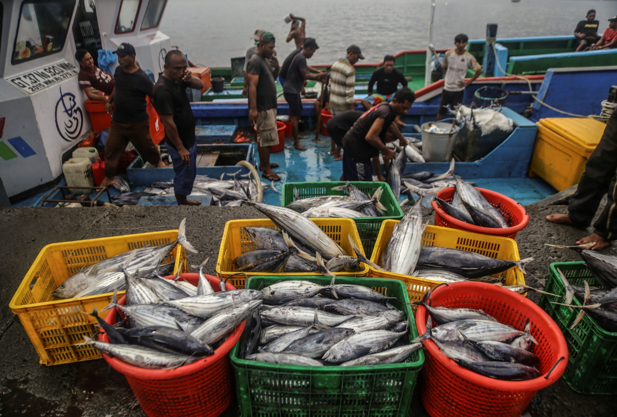 Transformasi Investasi dan Perizinan Kelautan Perikanan Indonesia ...